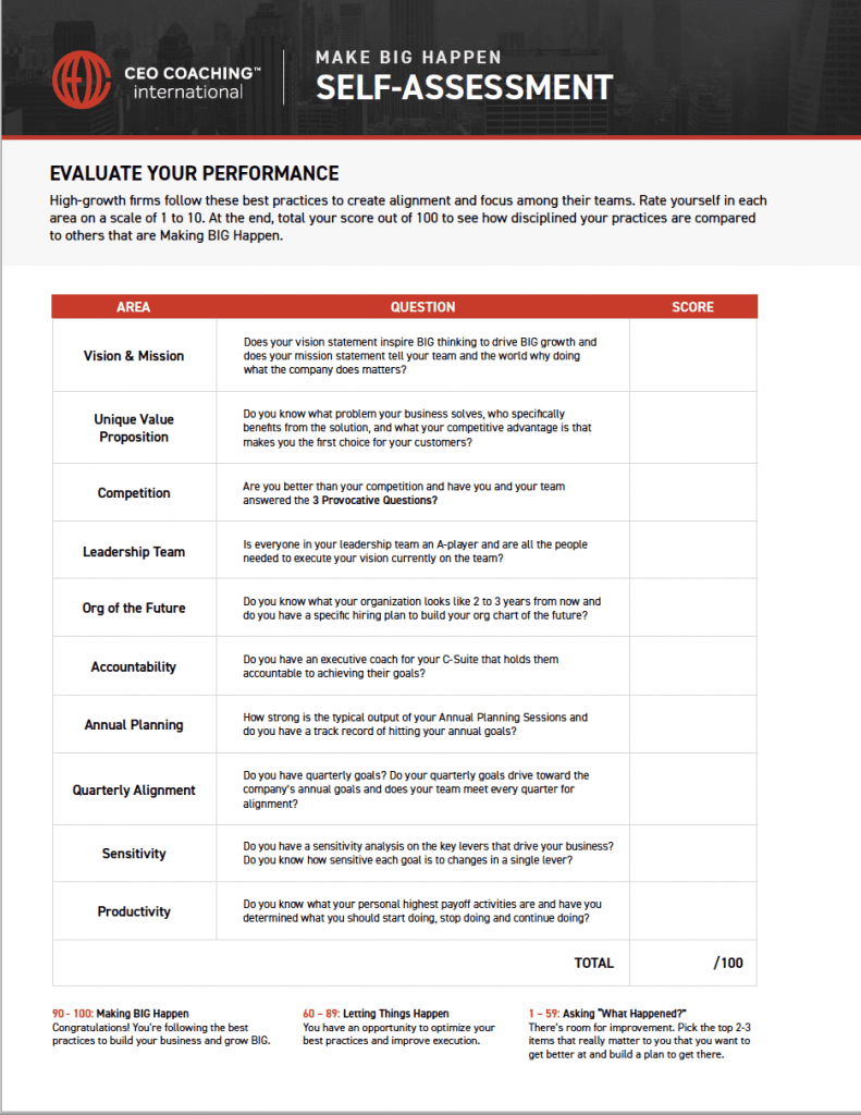 Make BIG Happen Self-Assessment - CEO Coaching International