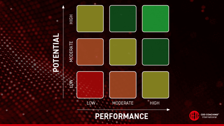 Using the 9-Box Grid for Talent Management, Resource Allocation, and ...